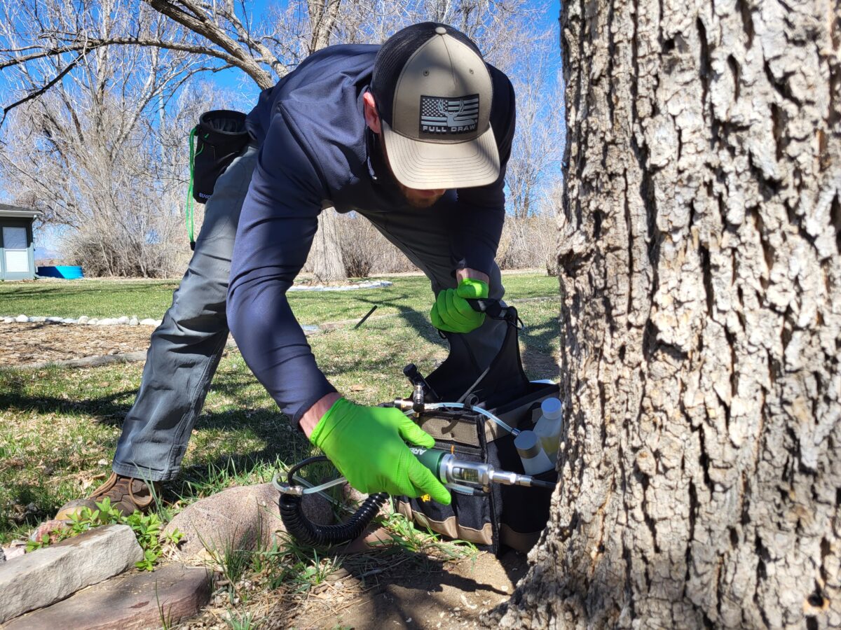 Our Methods – Holistic Tree LLC